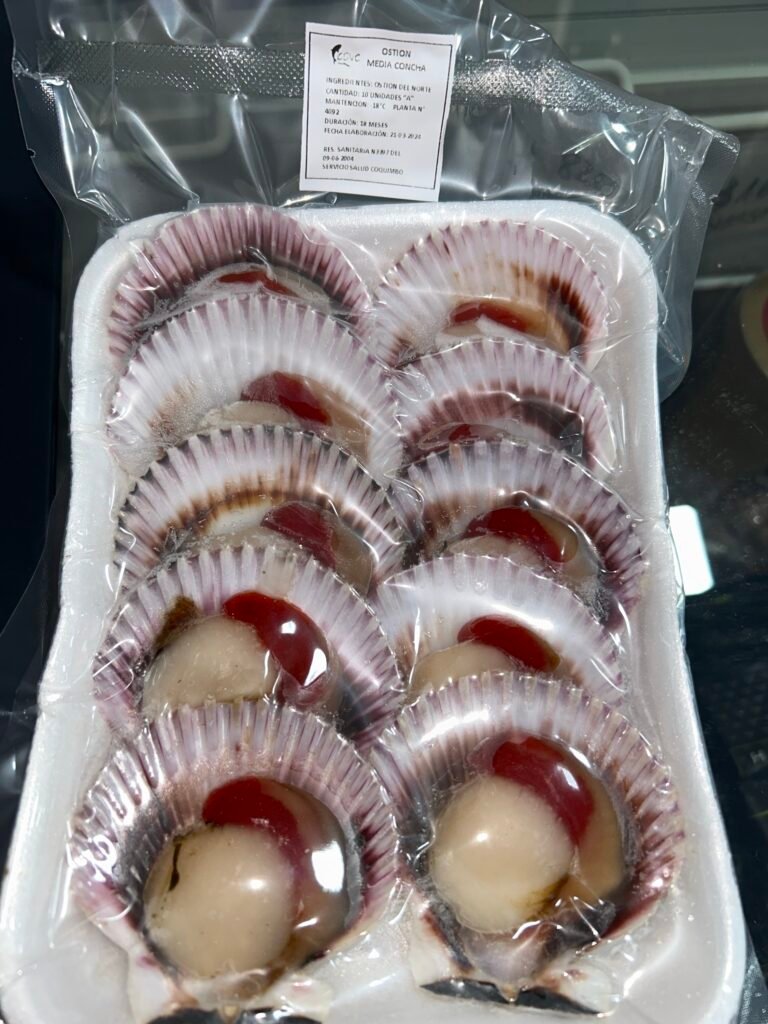 Bandeja 10 ostiones - Emporio Valdiviano KO